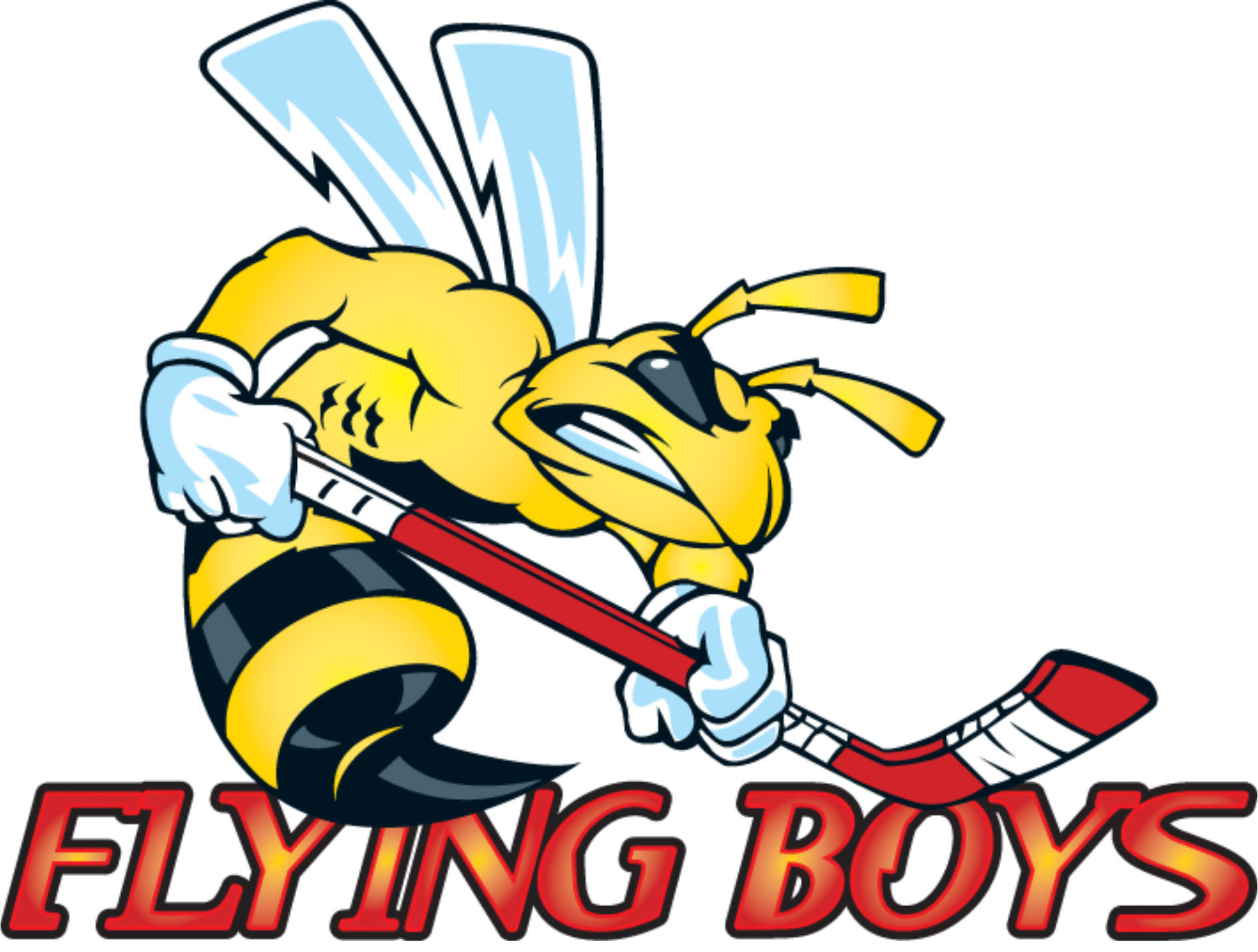 SportEasy - HC Flying Boys